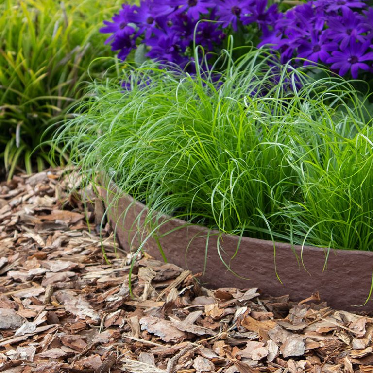 Multi-Edge | The Multi-Edge ECO | Sustainable and stylish lawn edging